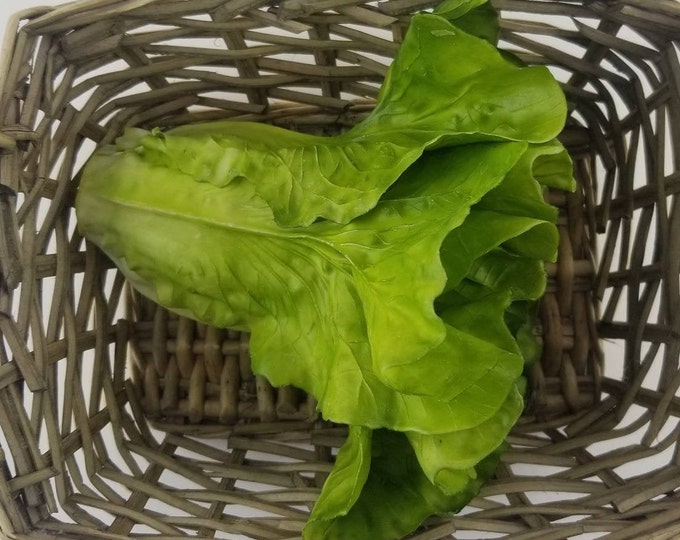 Artificial Romaine Lettuce. Fake Head of Lettuce. Life Sized Realistic ...