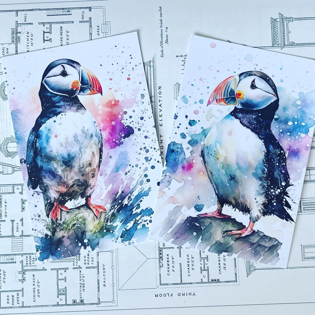 Set of Puffin Postcards - Etsy