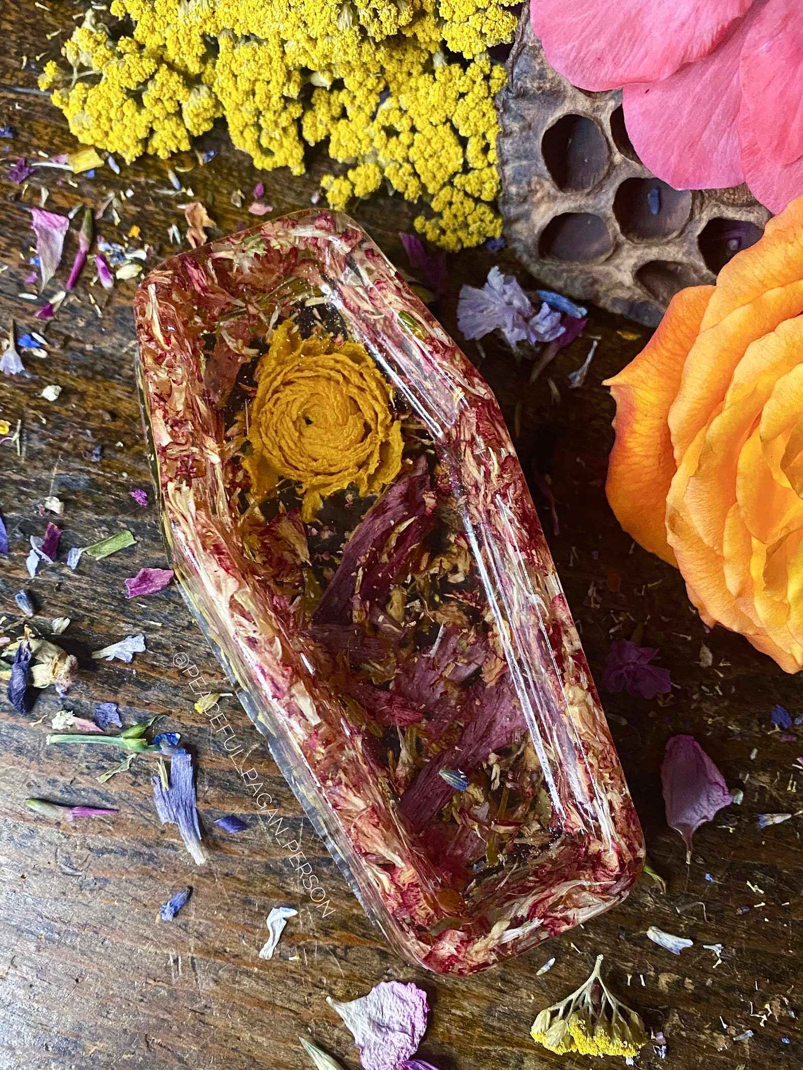 Pushing up Daisies botanical Resin Coffin - Etsy