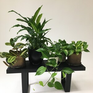 Short Nelson Bench in Ultra-matte Black. Entryway Bench, Mudroom Bench ...