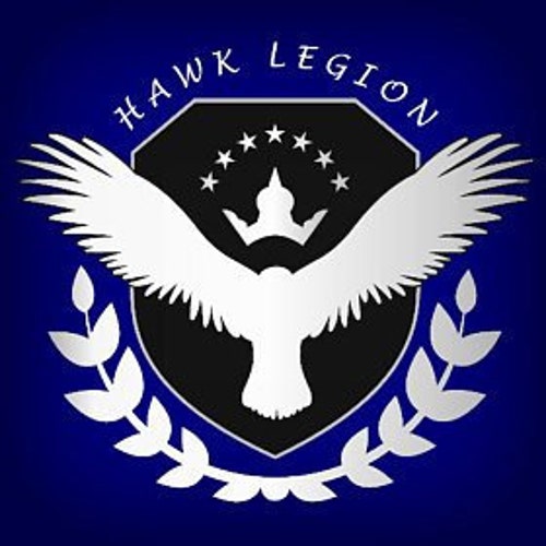 HawkLegionStore - Etsy