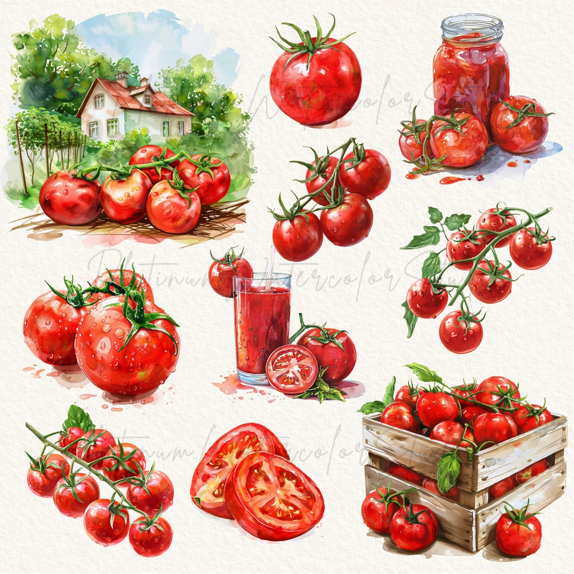 Watercolor Clipart Tomato Png, Vegetable Clipart Png, Garden Clipart ...