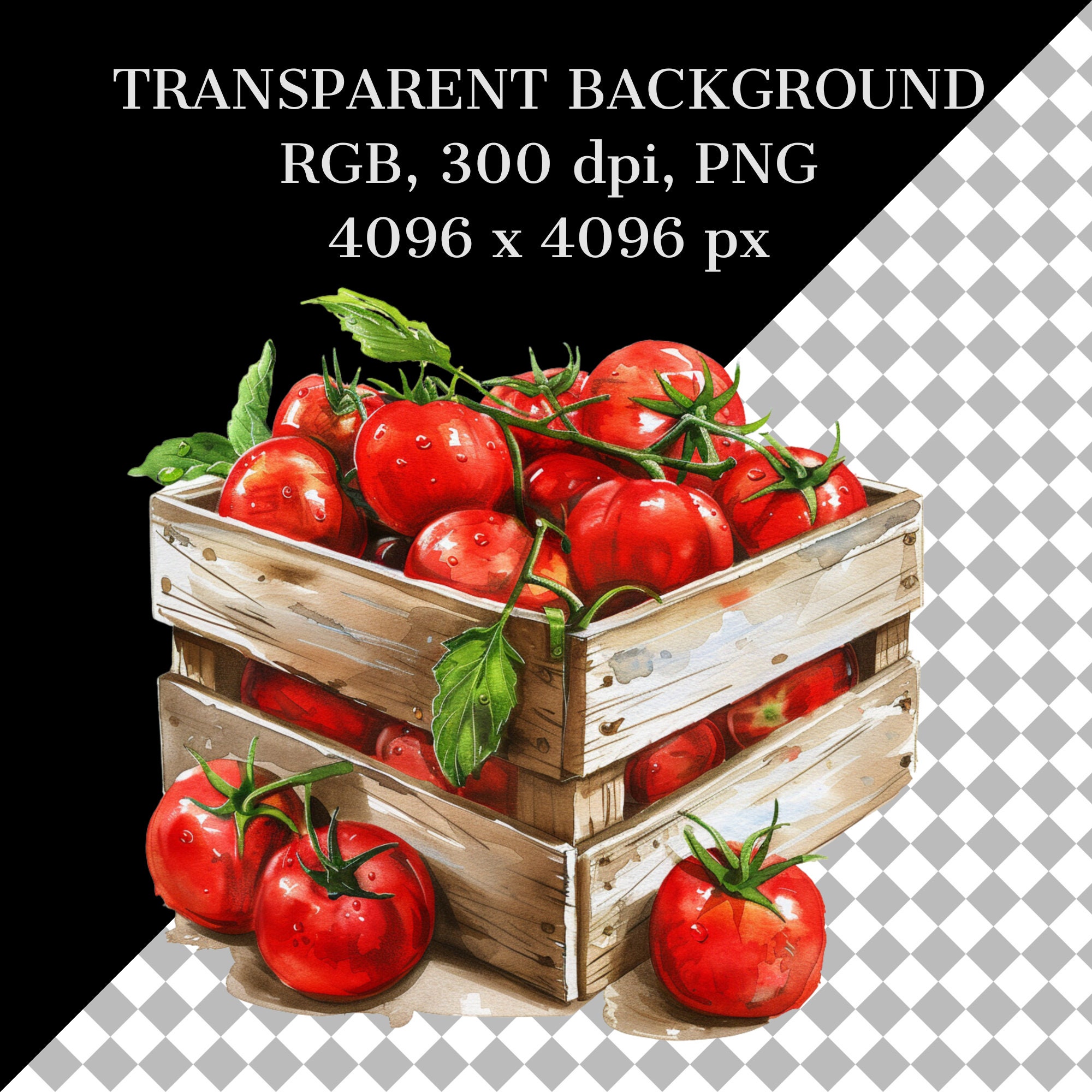 Watercolor Clipart Tomato Png, Vegetable Clipart Png, Garden Clipart ...