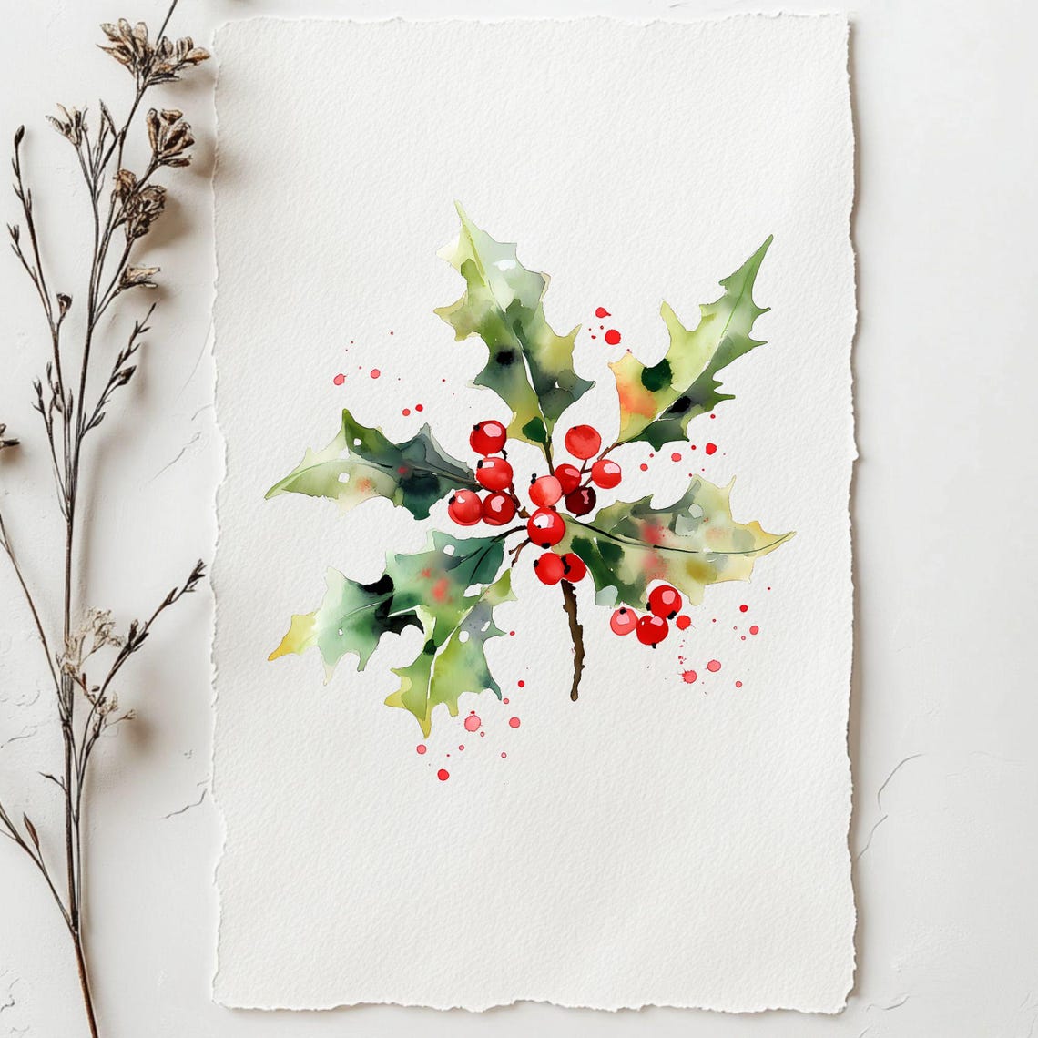 Watercolor Holly Clipart, Birth Month Flower - Instant Download for ...
