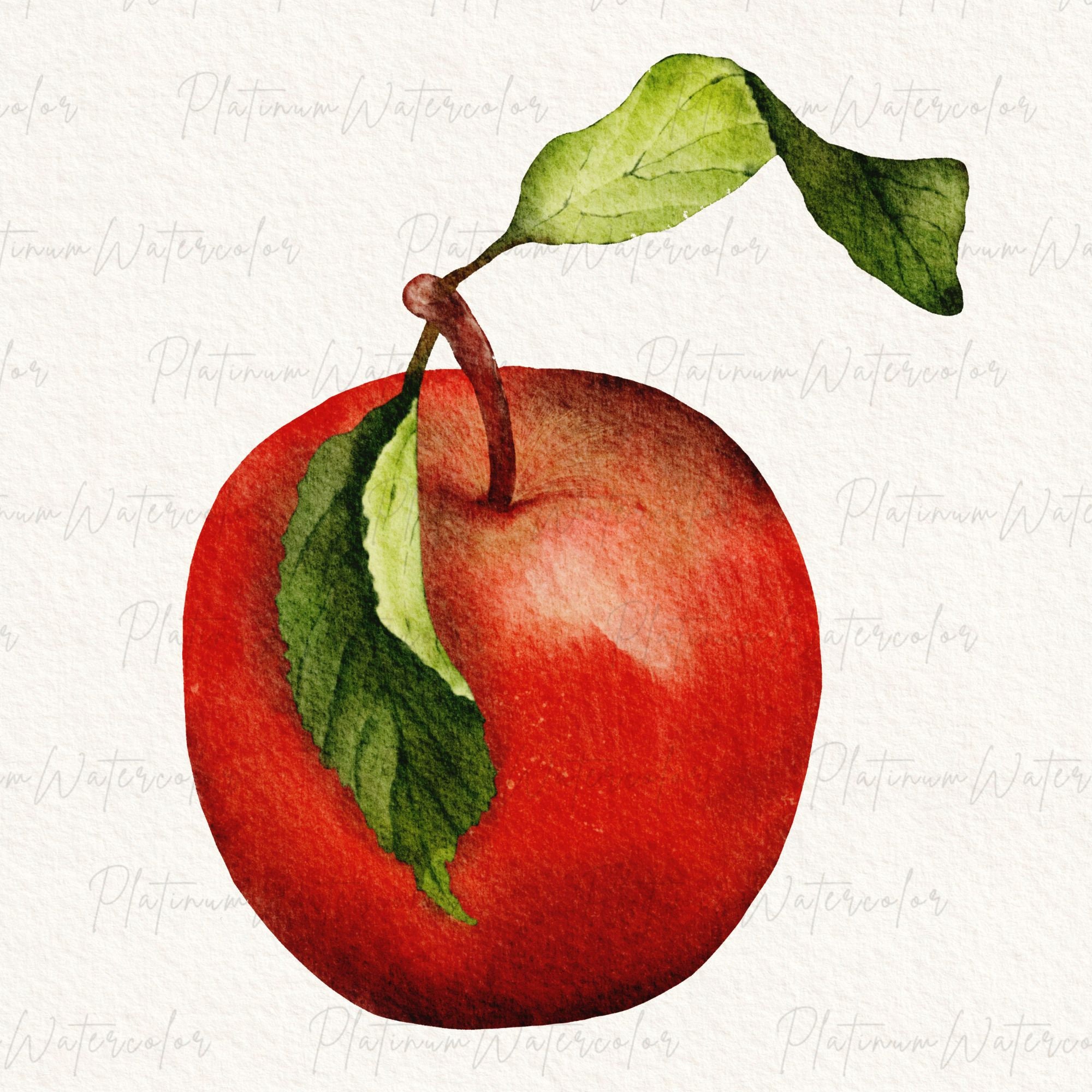 Watercolor Clipart Apple, Hand-painted Apple Png, Red Apple, Food ...