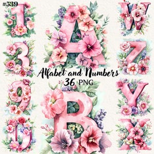 Floral Alphabet Png, Flower Watercolor, Letters Png, Numbers Png ...