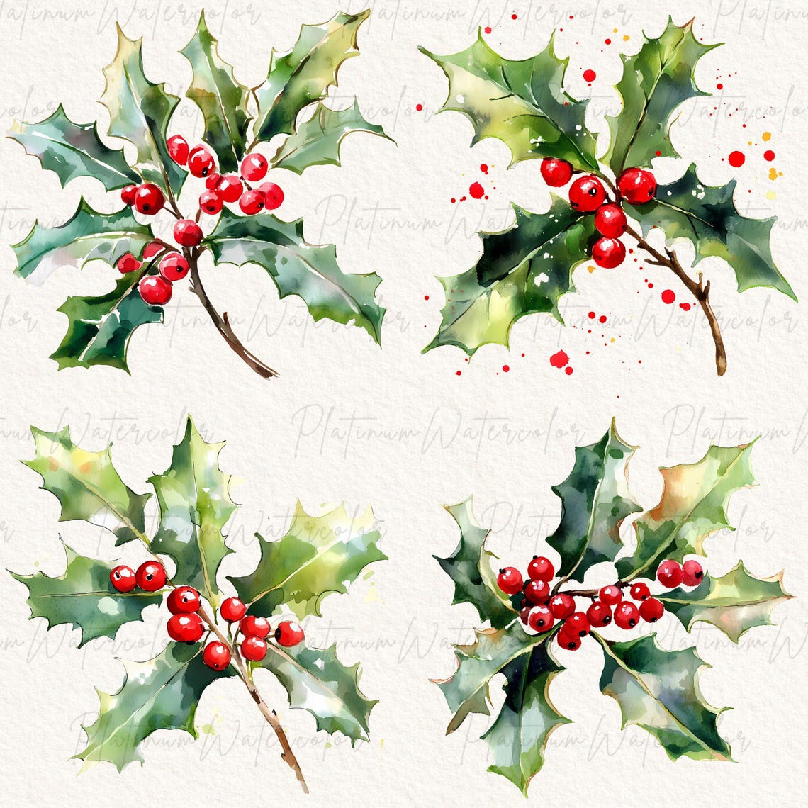 Watercolor Holly Clipart, Birth Month Flower - Instant Download for ...