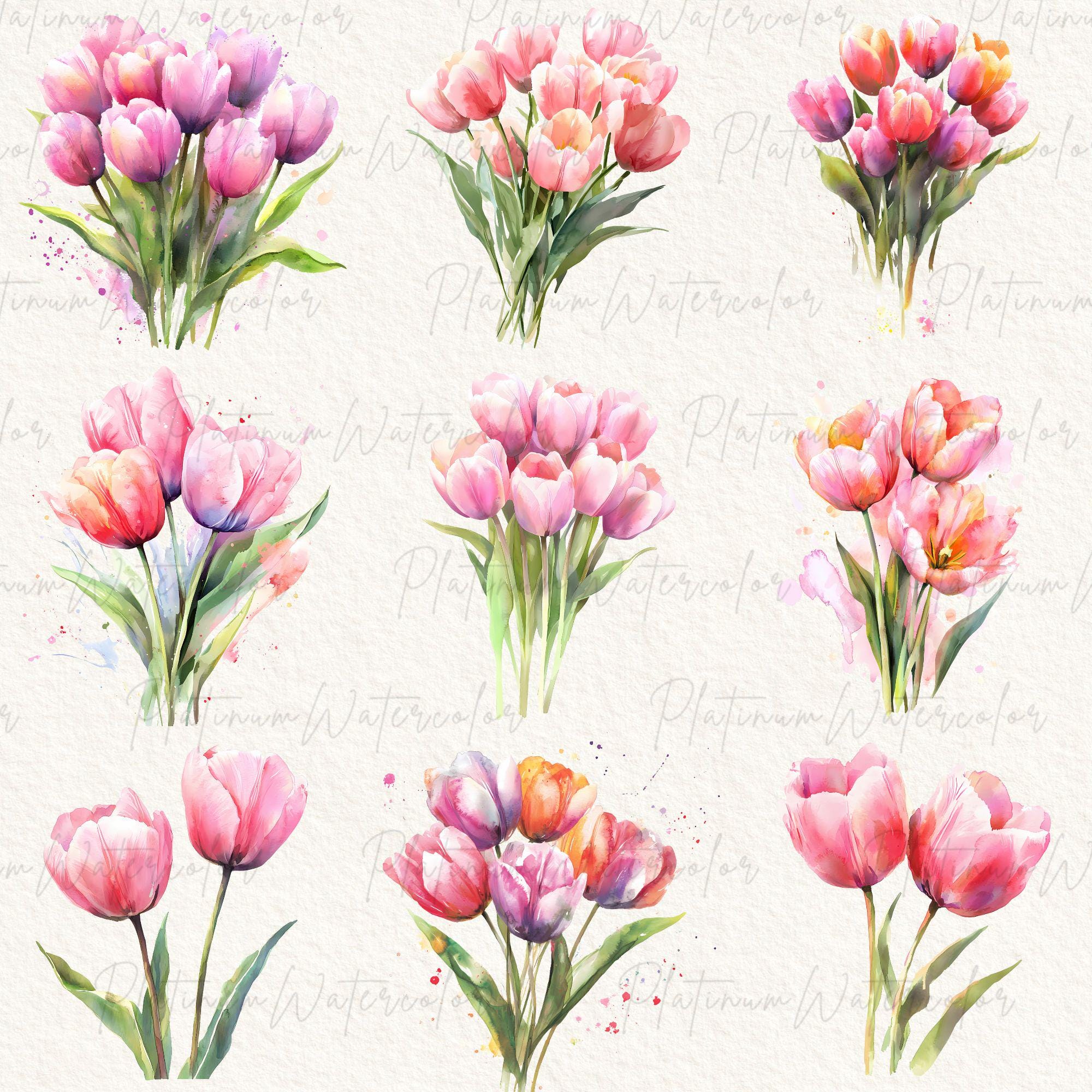 Spring Png, Flower Clipart, Pink Tulip Clipart Bundle - Perfect for DIY ...