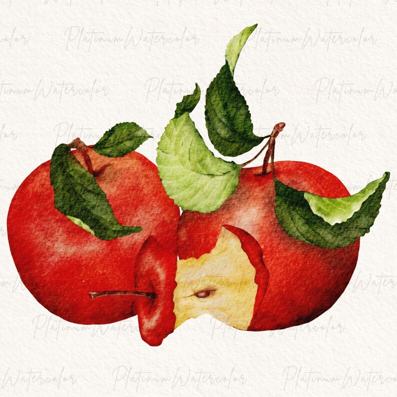 Watercolor Clipart Apple, Hand-painted Apple Png, Red Apple, Food ...