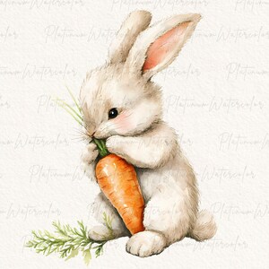 10 Bunny With Carrot Clipart Bundle, Easter Bunny, Spring Clipart ...