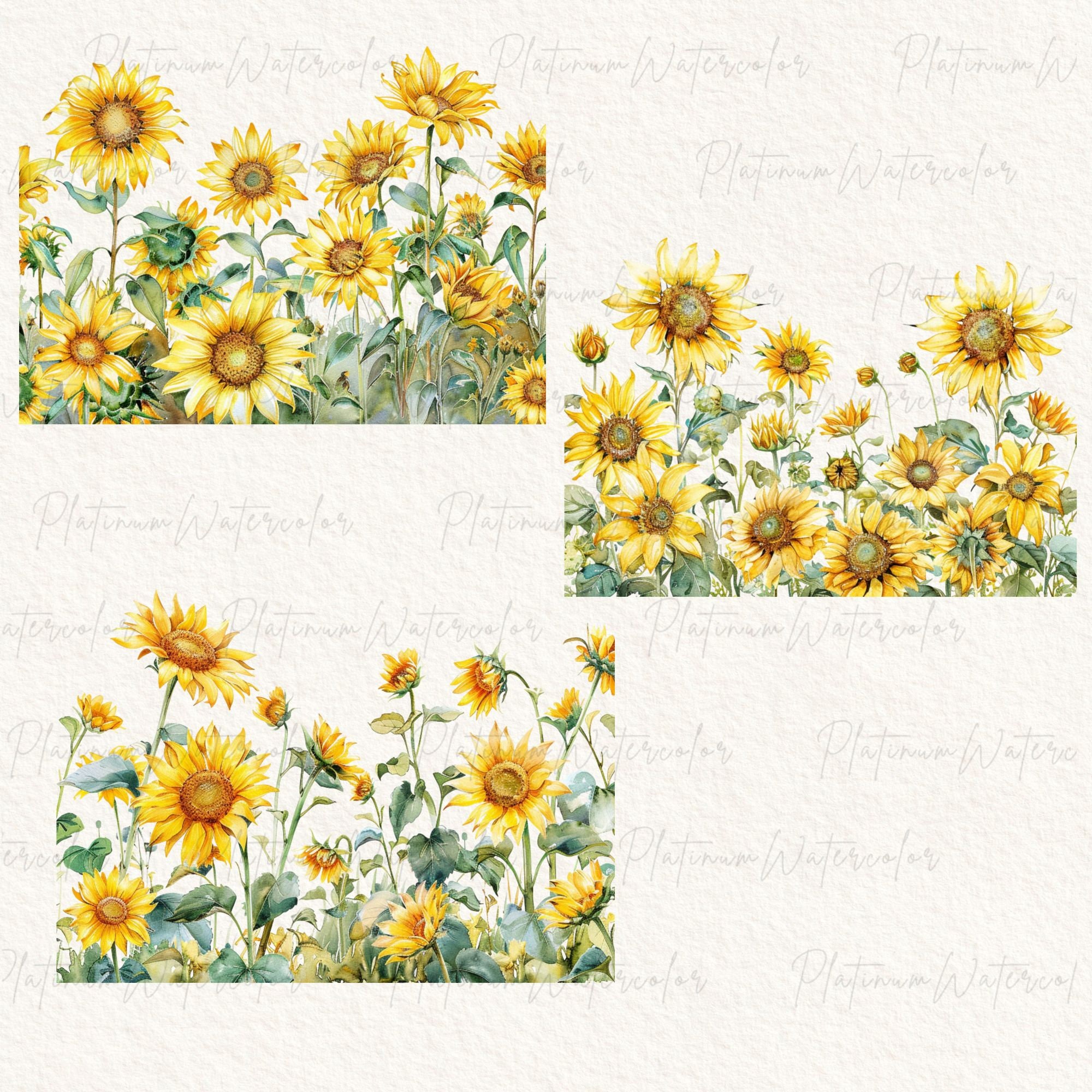Sunflowers Border Clipart PNG, Sunflower Border, Yellow Flowers Clipart ...