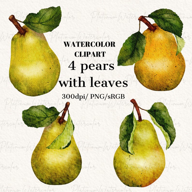 Hand Painted Pears Clipart Bundle, Pear PNG, Transparent Background ...