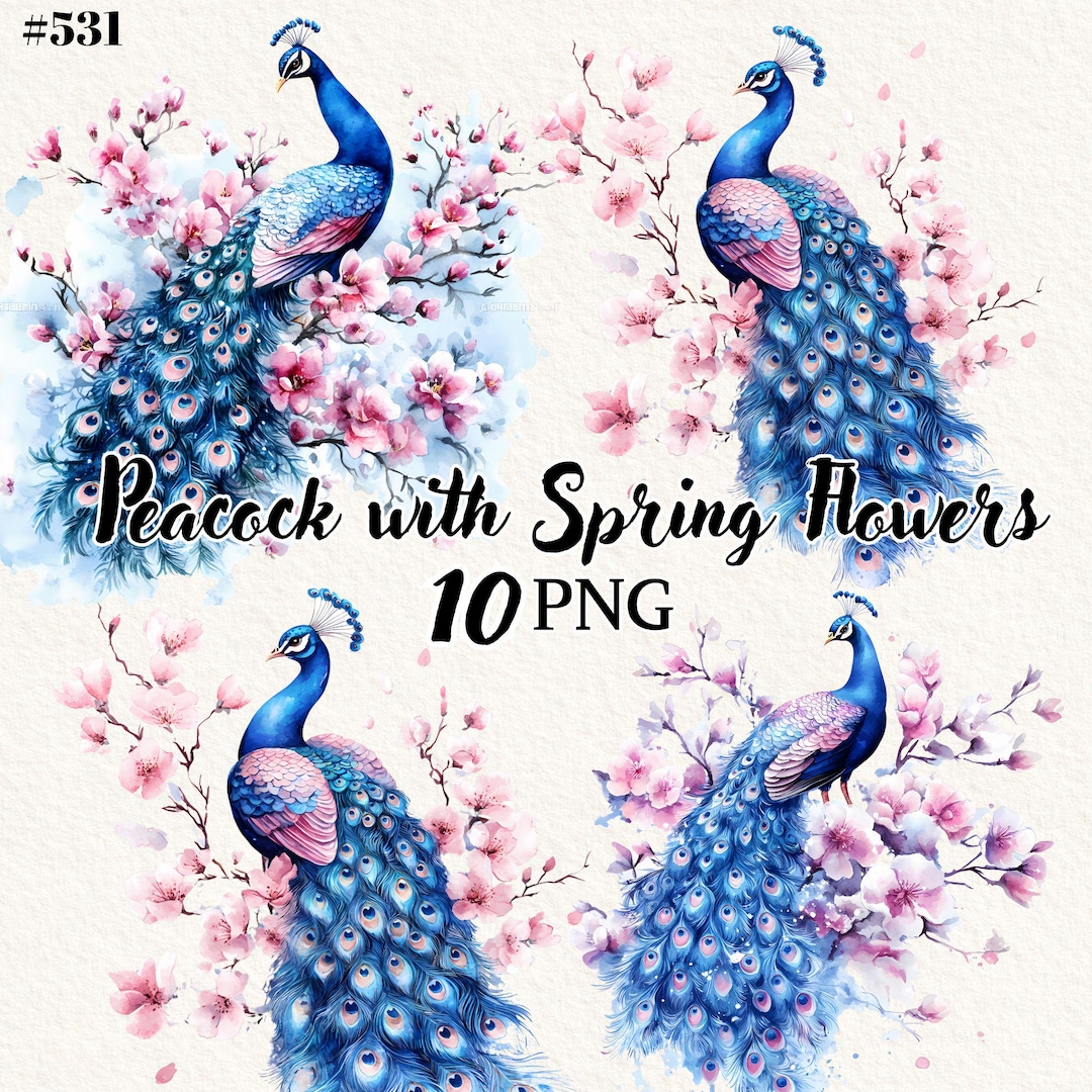 10 Peacock With Spring Flowers Png, Peacock Clipart, Transparent ...