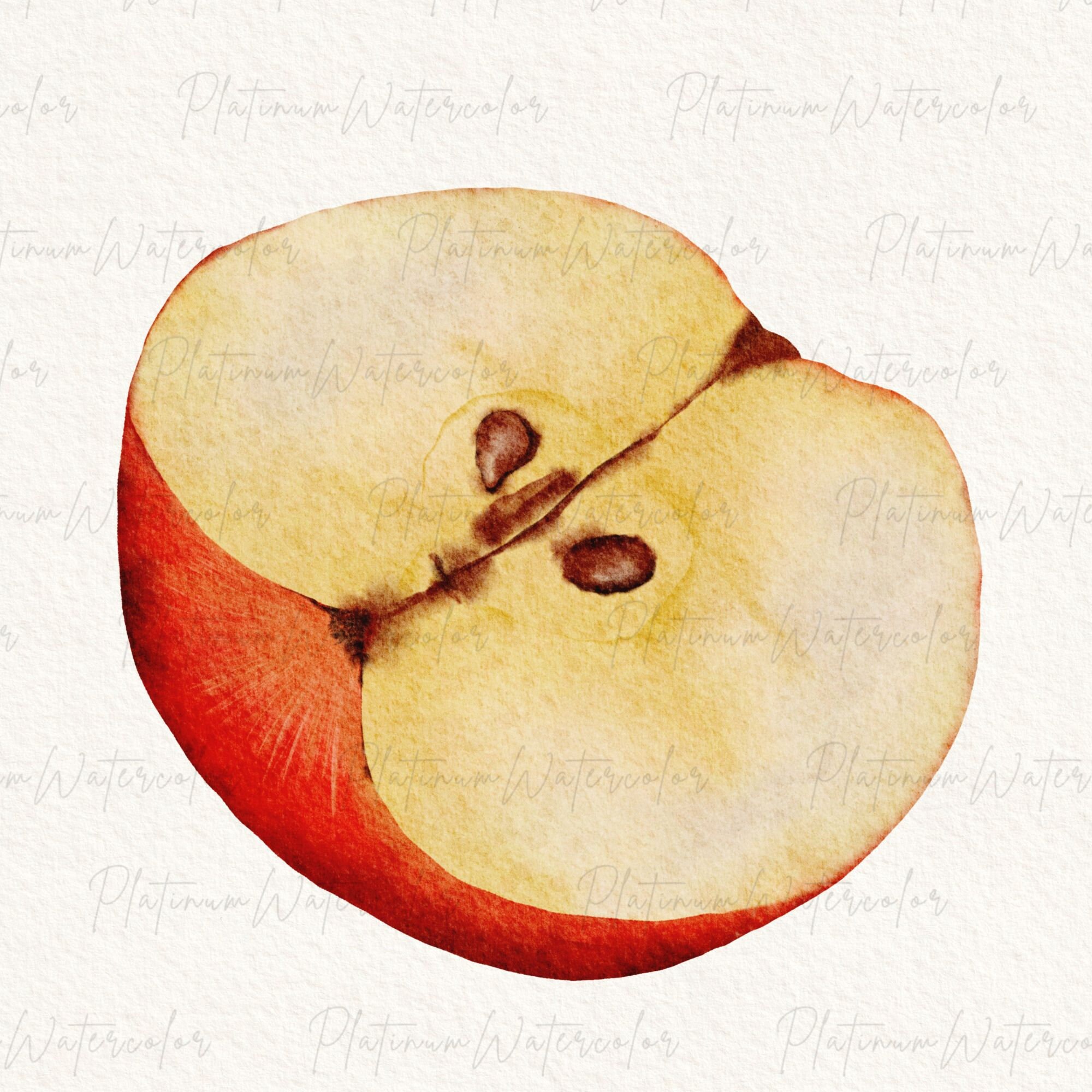Watercolor Clipart Apple, Hand-painted Apple Png, Red Apple, Food ...