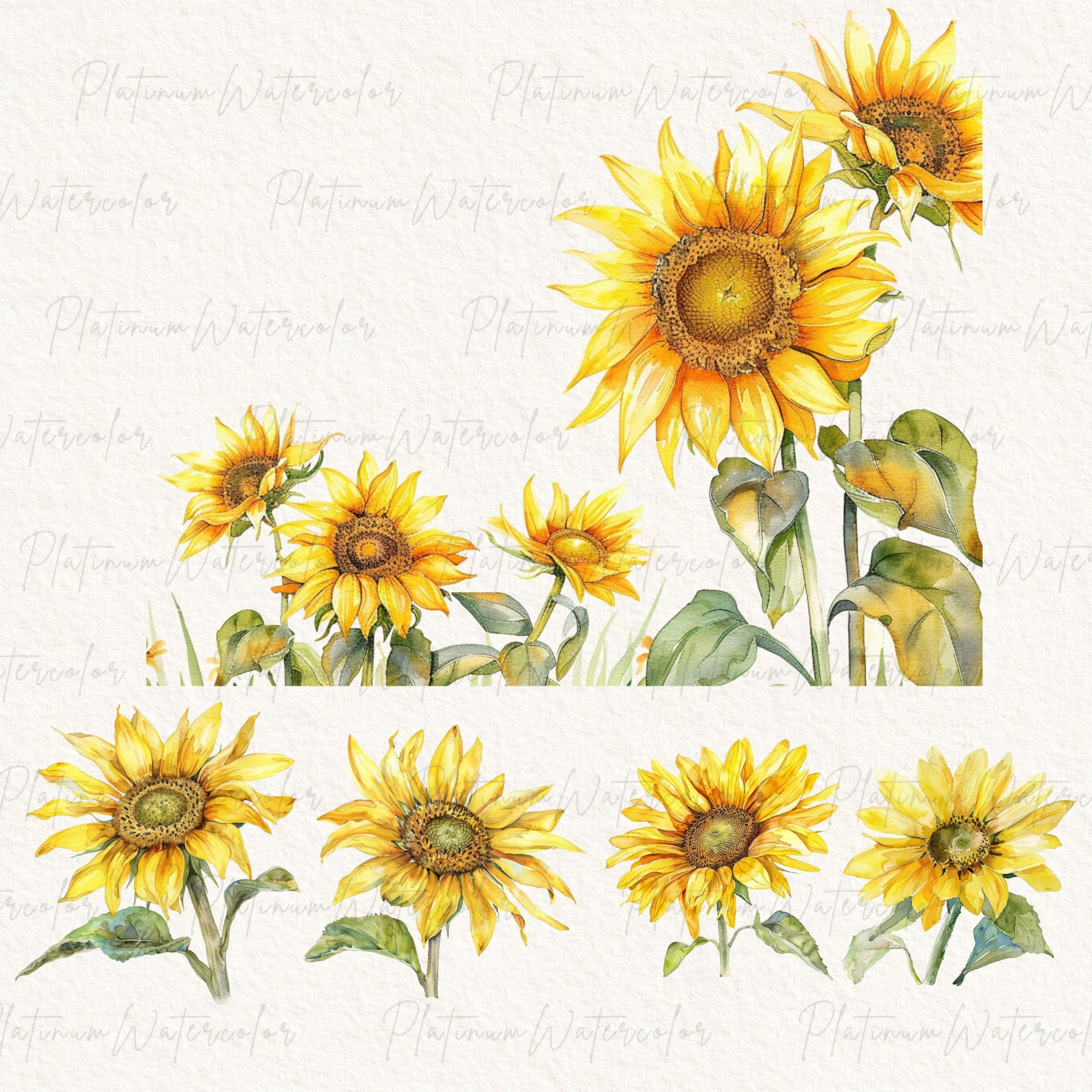 Sunflowers Border Clipart PNG, Sunflower Border, Yellow Flowers Clipart ...