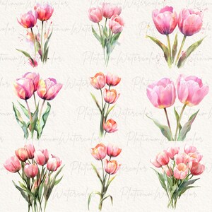 Spring Png, Flower Clipart, Pink Tulip Clipart Bundle - Perfect for DIY ...