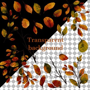 Hand Painted Autumn Twigs PNG, Clipart Bundle, Transparent Background ...