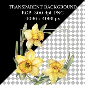 Watercolor Daffodils Frame Clipart, Spring Flower Frame, Flowers ...