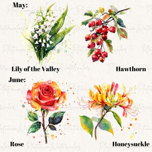 Birth Month Flower Download, Flowers Clipart, Watercolor Floral Clipart ...