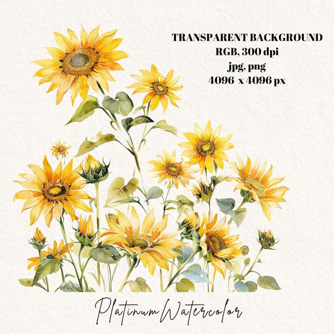 Sunflowers Border Clipart PNG, Sunflower Border, Yellow Flowers Clipart ...