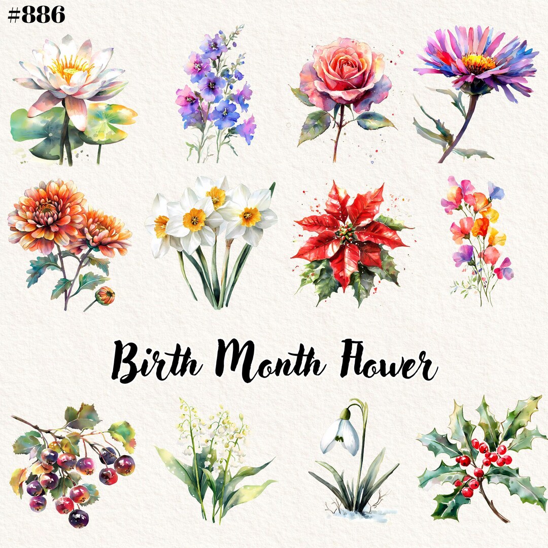 Birth Month Flower Clipart for Festive DIY Fun. - Etsy