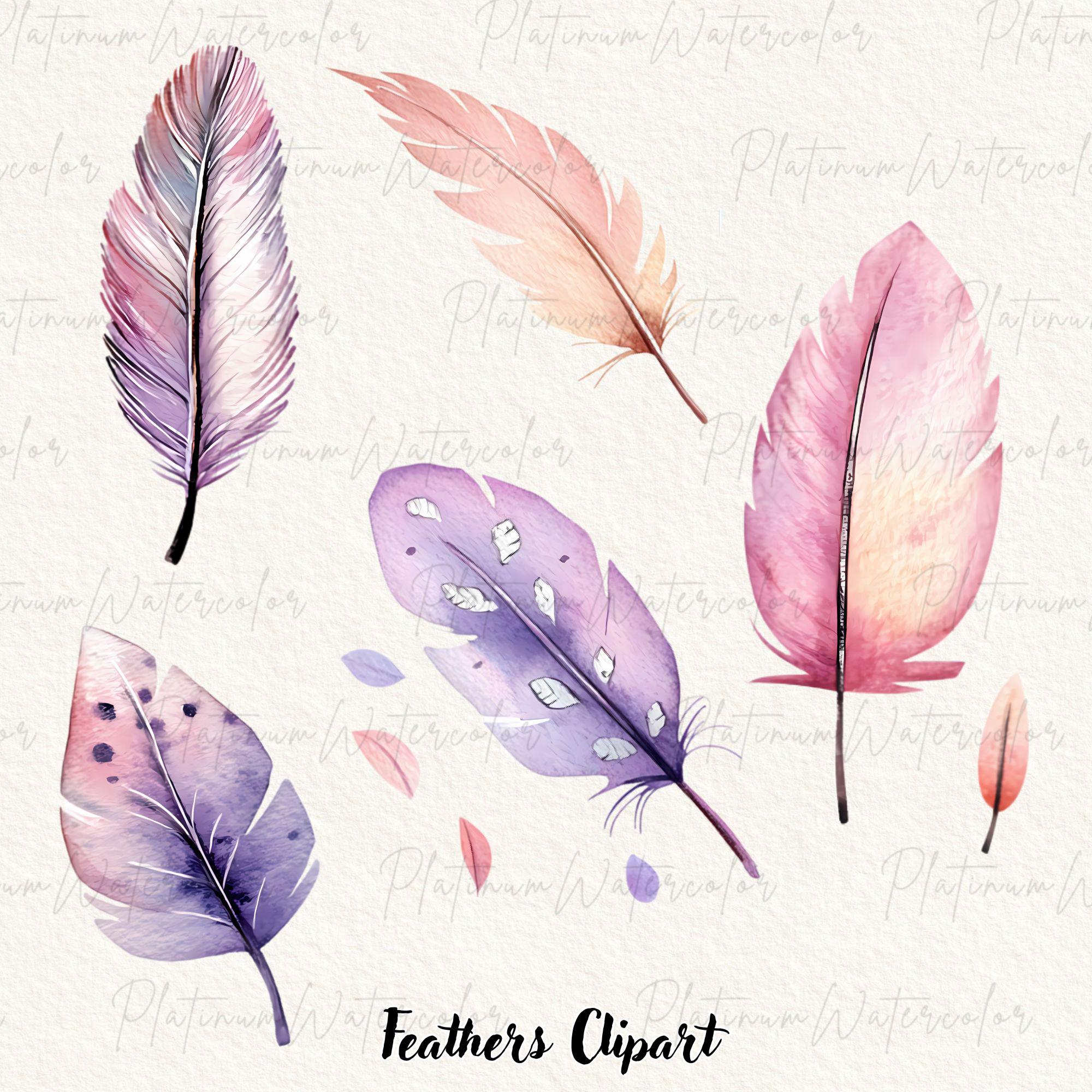 Feathers Clipart Bundle, Charming Feathers Watercolor Clipart for ...