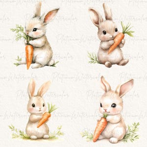 10 Bunny With Carrot Clipart Bundle, Easter Bunny, Spring Clipart ...
