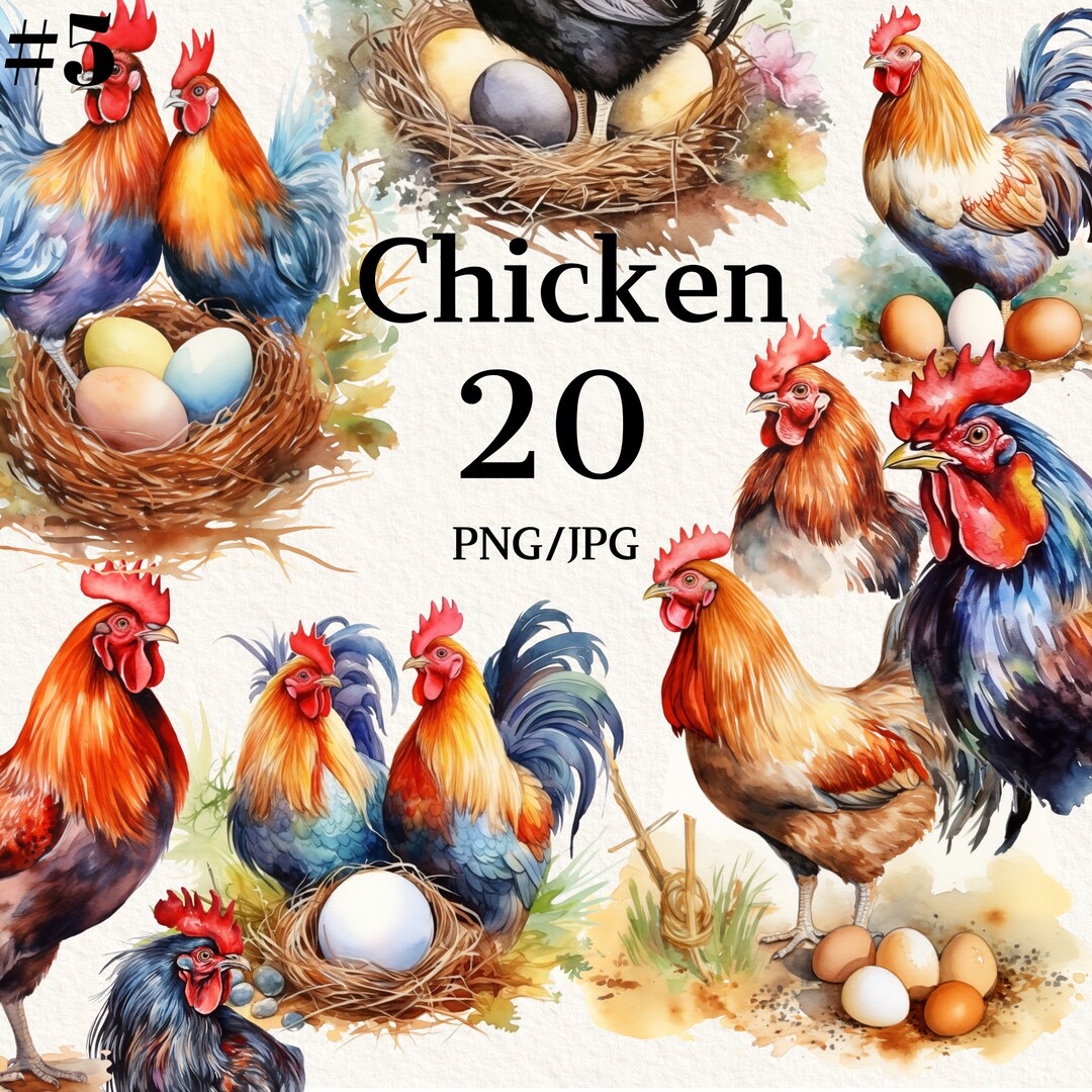 Watercolor Rooster Clipart, Chicken Png, Watercolor Chicken Clipart ...