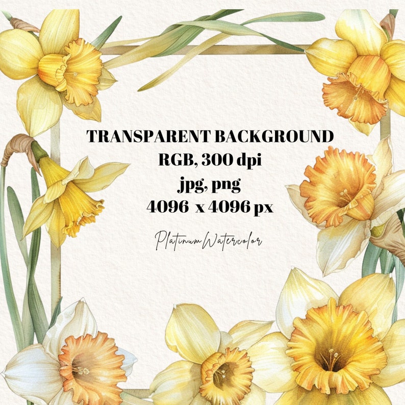 Watercolor Daffodils Frame Clipart, Spring Flower Frame, Flowers ...