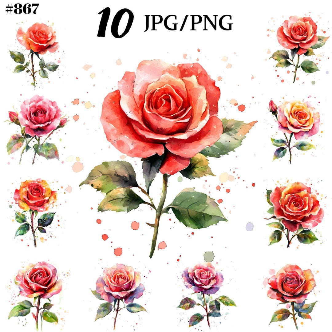 Watercolor Rose Clipart, Watercolor Flower Collection - Instant ...