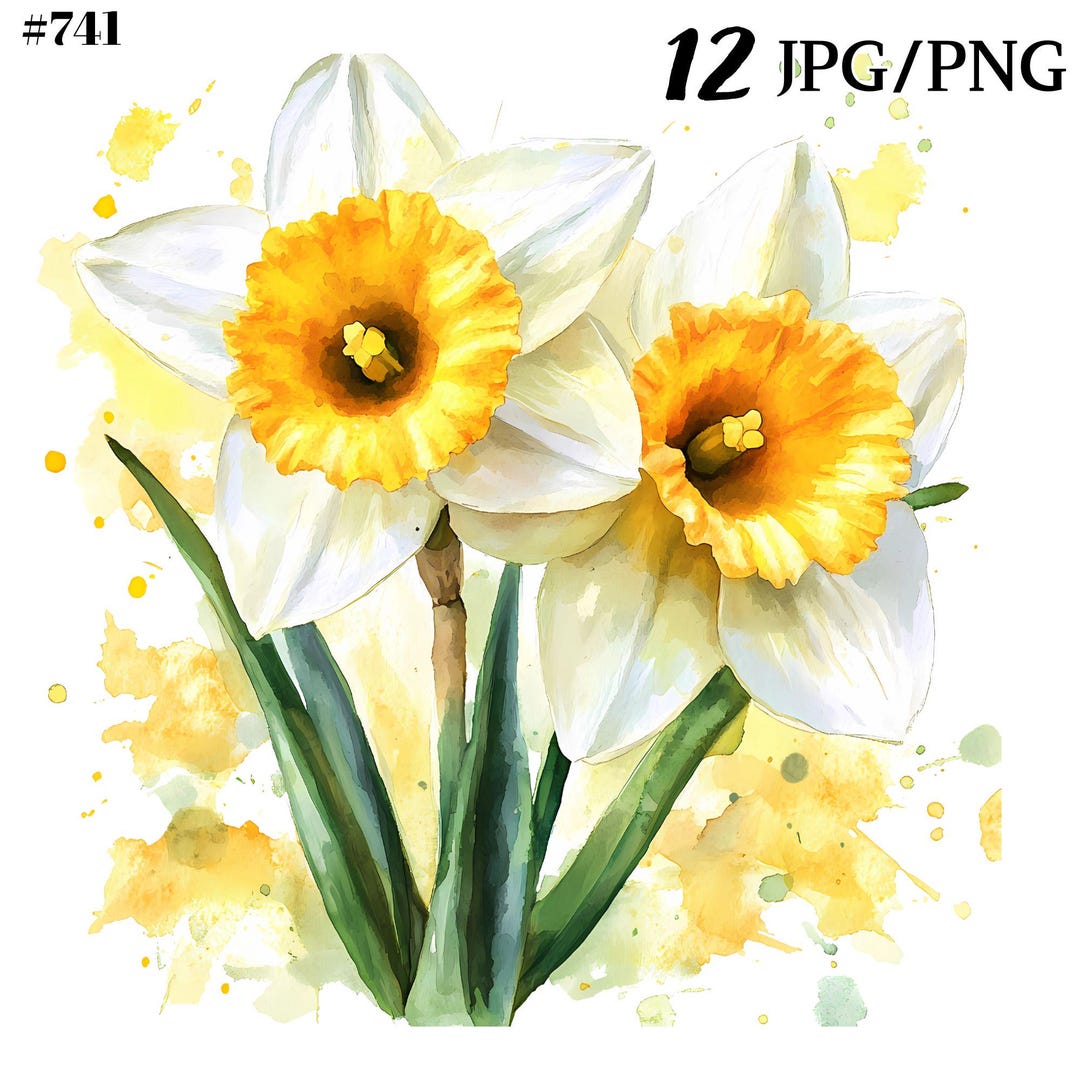 Elegant Daffodil Watercolor Clipart Set | Spring Wedding Decor ...