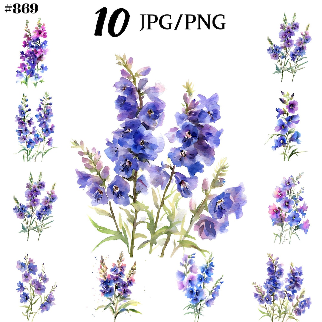 Watercolor Larkspur Clipart, Flower Clipart Bundle - Transparent ...