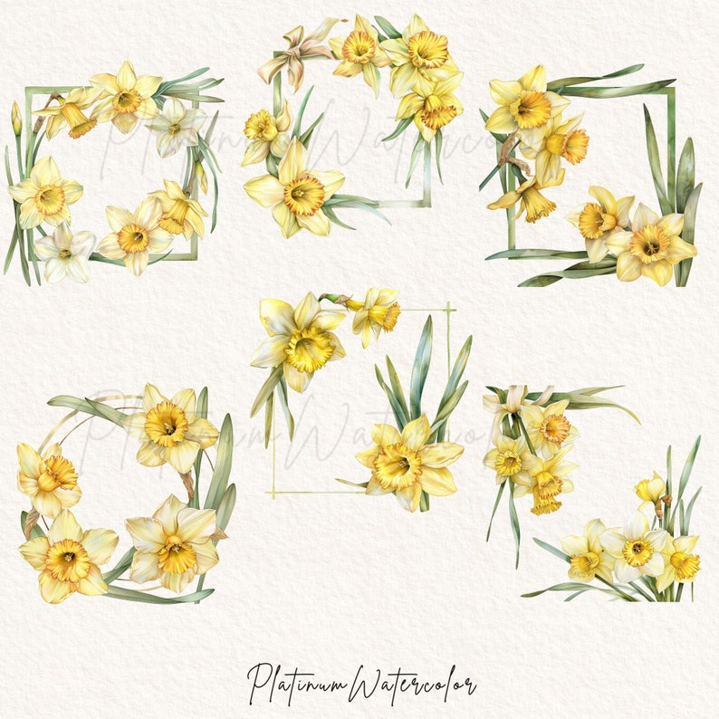 Watercolor Daffodils Frame Clipart, Spring Flower Frame, Flowers ...