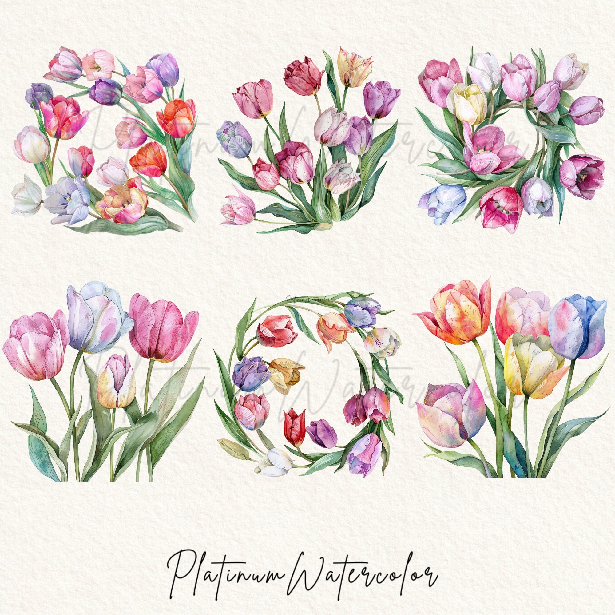 Tulip Flowers, Watercolor Flowers, Floral Png, Spring Clipart, Flower ...