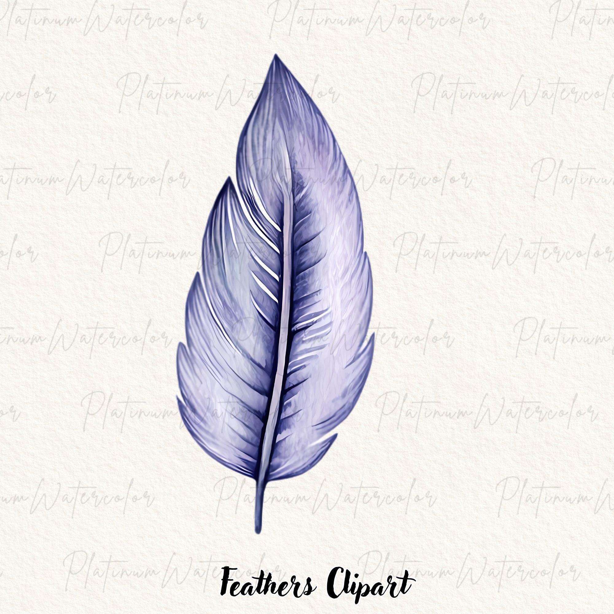 Feather Clipart Bundle, Feather Png, Whimsical Watercolor Feather ...