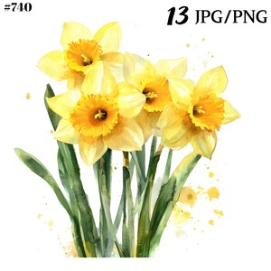 Spring Blooms Clipart - Beautiful Daffodil Design for Commercial Use ...