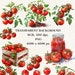 Watercolor Clipart Tomato Png, Vegetable Clipart Png, Garden Clipart ...