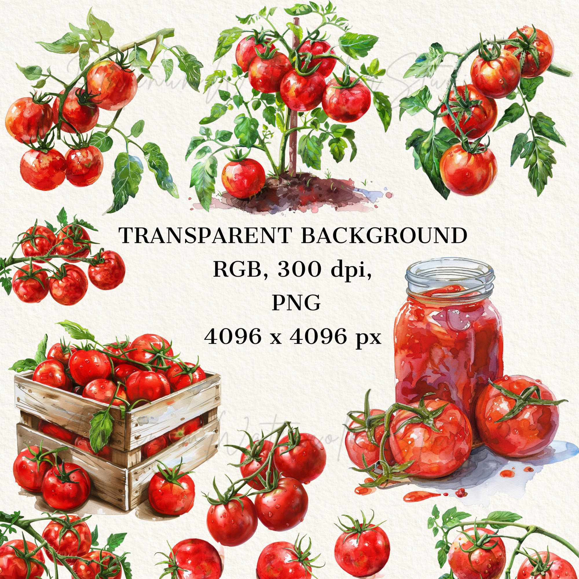 Watercolor Clipart Tomato Png, Vegetable Clipart Png, Garden Clipart ...