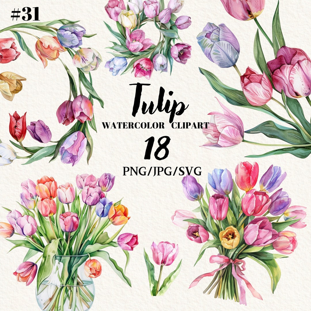 Tulip Flowers, Watercolor Flowers, Floral Png, Spring Clipart, Flower ...