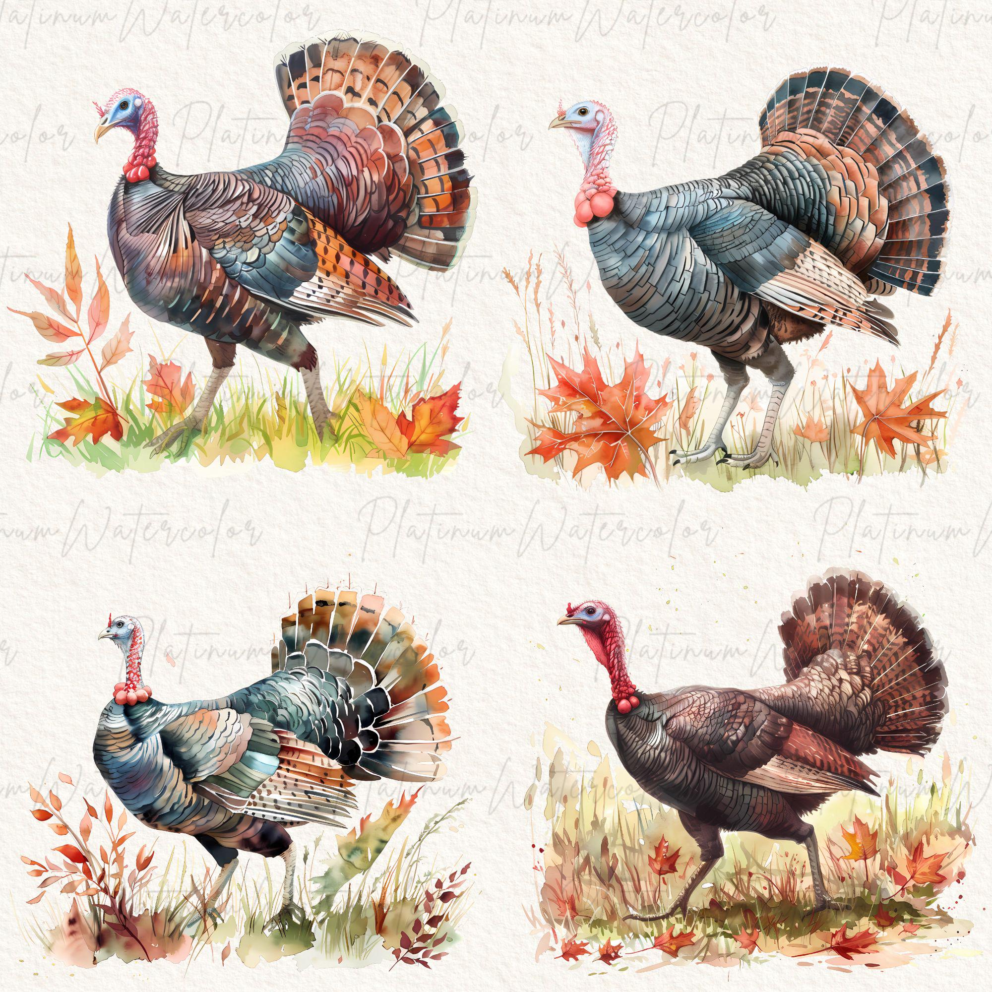 Turkey Png, Thanksgiving Png, 10 Png Turkey Clipart, Instant Download ...