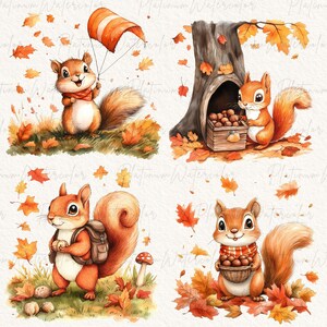 10 Squirrel Png, Animals Clipart, Fall Png, Transparent Background ...