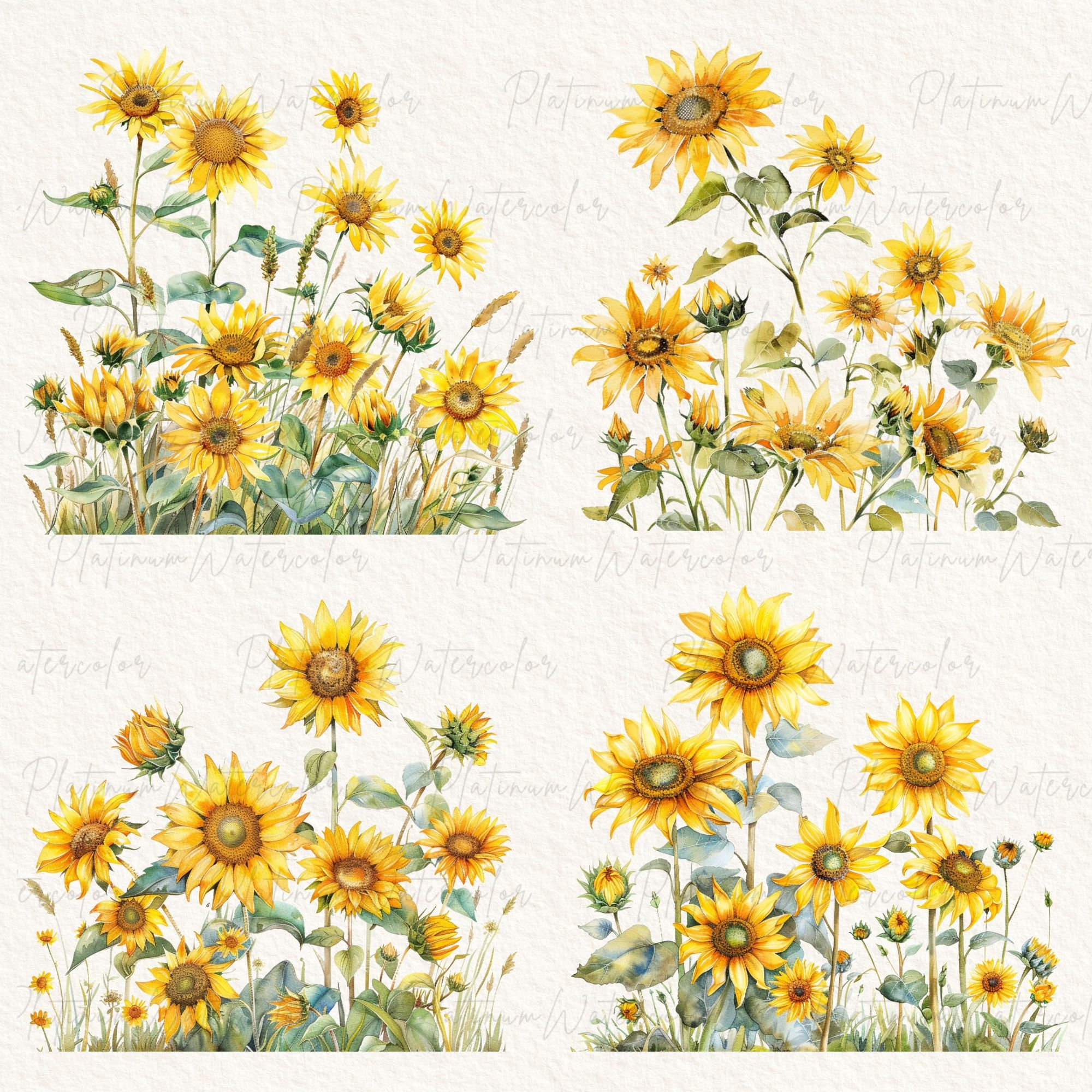 Sunflowers Border Clipart PNG, Sunflower Border, Yellow Flowers Clipart ...