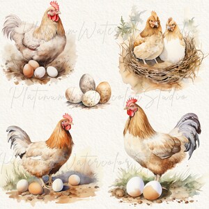 Easter Chicks, Easter Clipart, Spring Clipart, Chicken Png Jpg, Egg ...