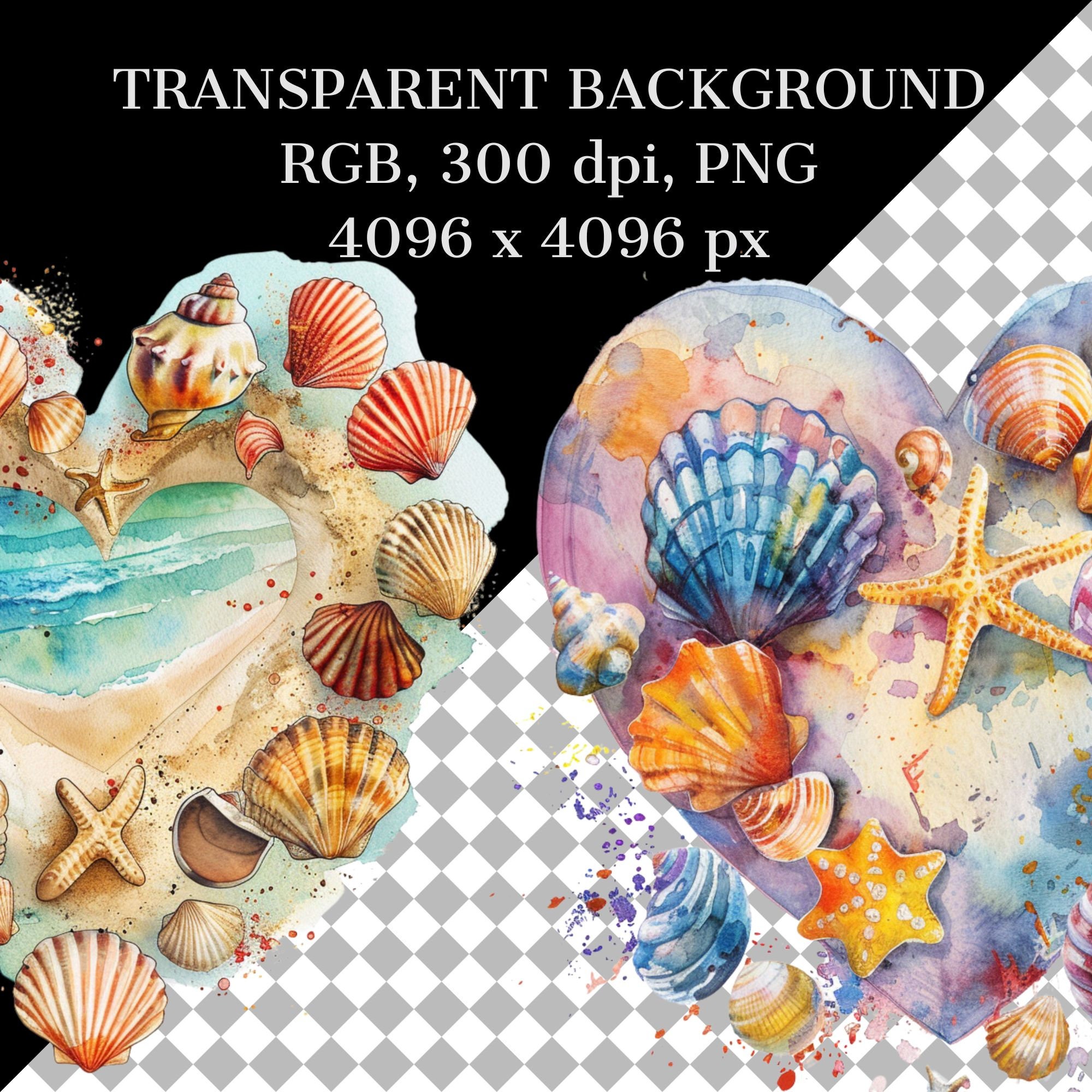 Seashell Heart Clipart Bundle, Ocean Clipart, Summer Clipart ...