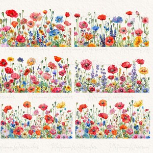 Digital Watercolor Poppy Borders, Instant Download Clipart Set ...