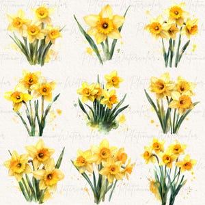 Spring Blooms Clipart - Beautiful Daffodil Design for Commercial Use ...