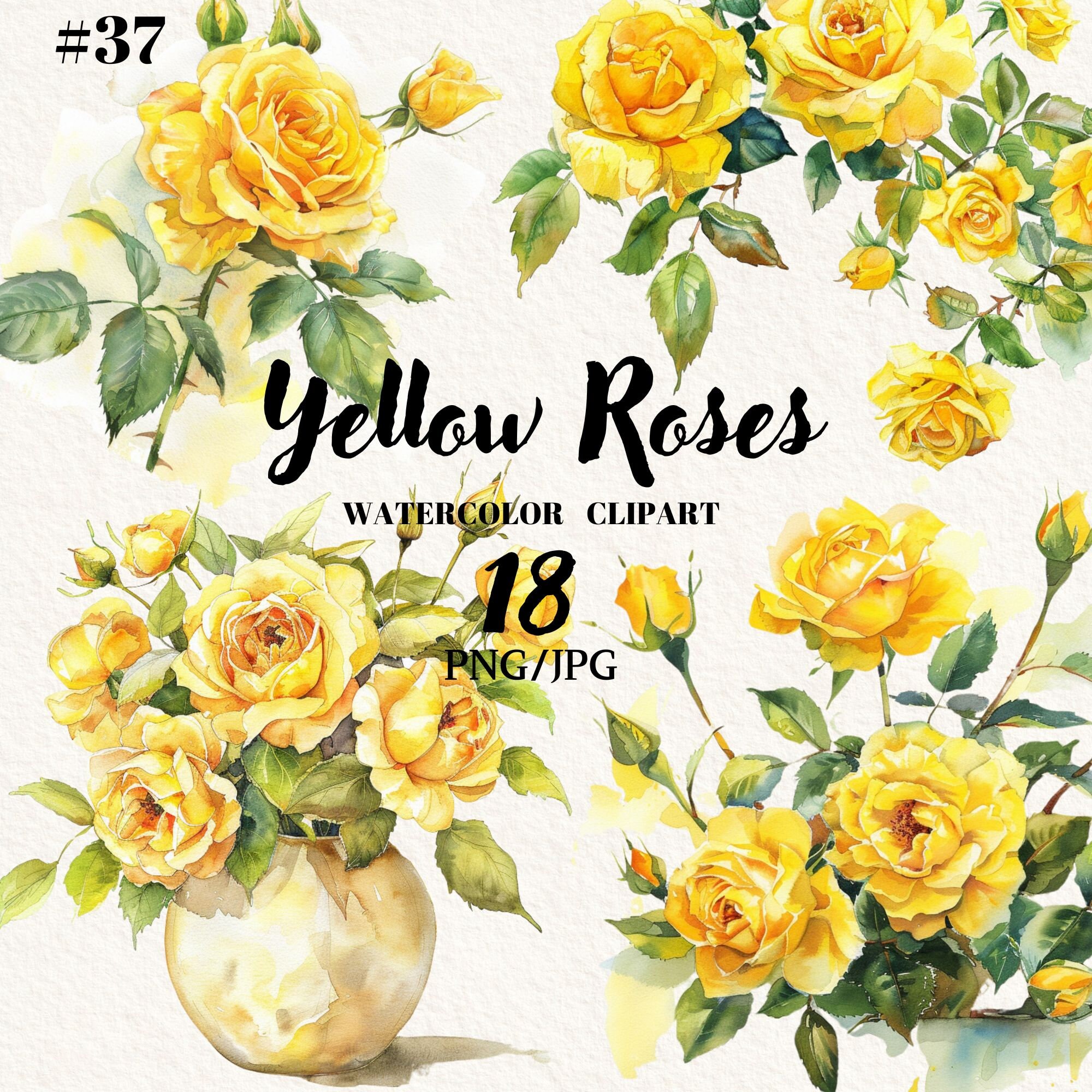 Flower Vase, Yellow Roses Clipart Png, Watercolor Yellow Rose Clipart ...