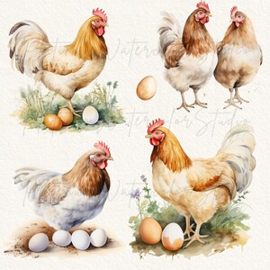 Easter Chicks, Easter Clipart, Spring Clipart, Chicken Png Jpg, Egg ...