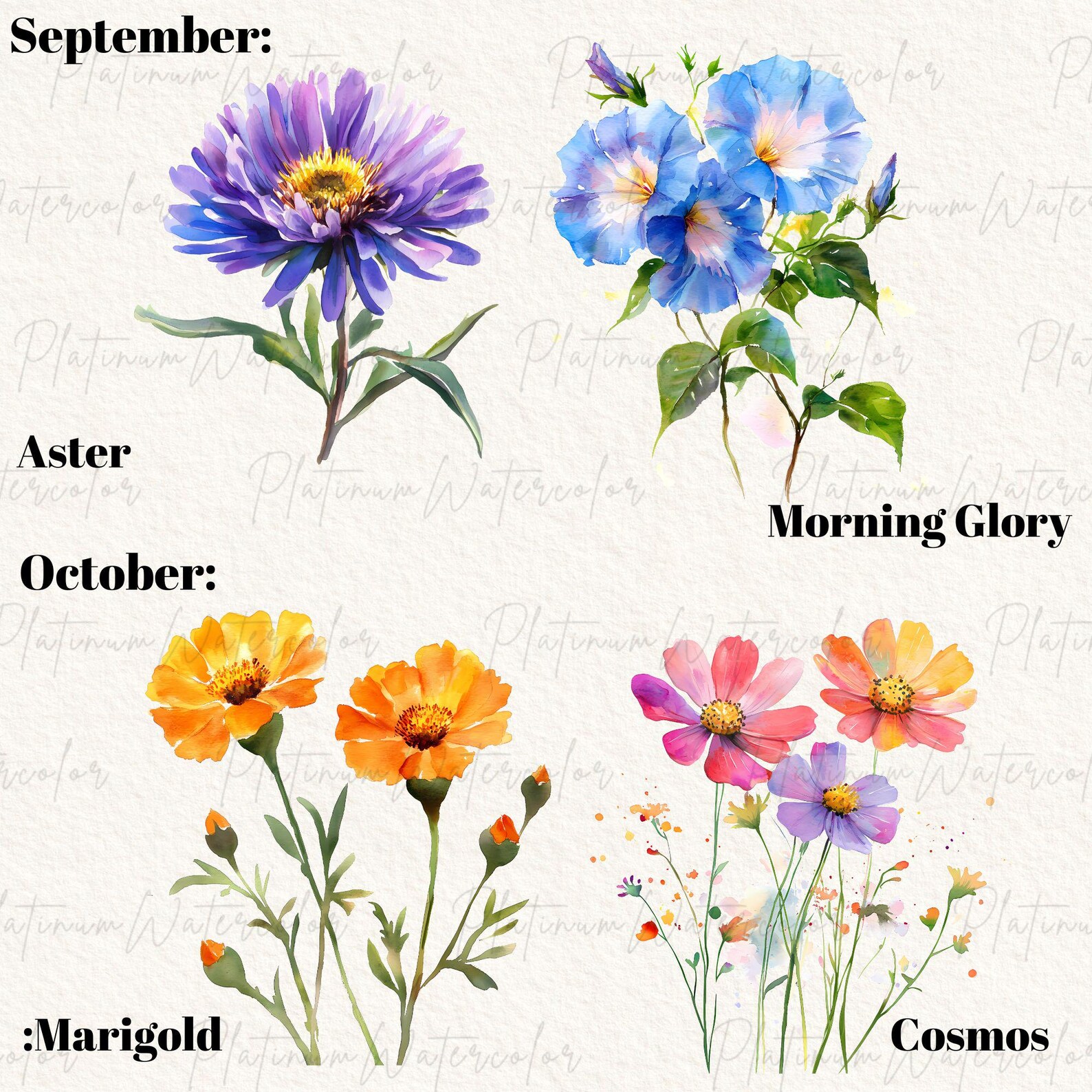 Birth Month Flower Download, Flowers Clipart, Watercolor Floral Clipart ...