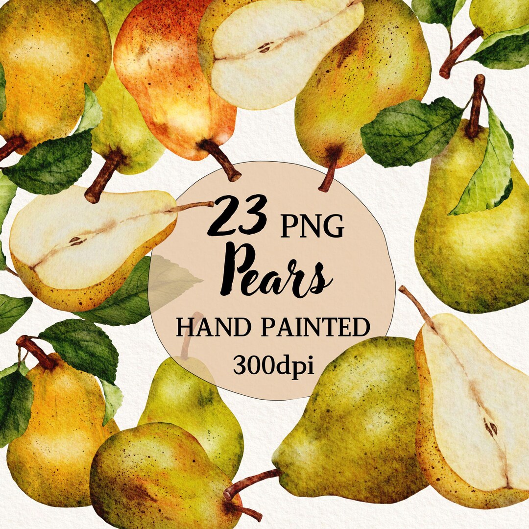 Hand Painted Pears Clipart Bundle, Pear PNG, Transparent Background, Digital Clipart, Instant ...